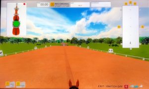 Horse riding simulator lessons for beginners and advanced riders